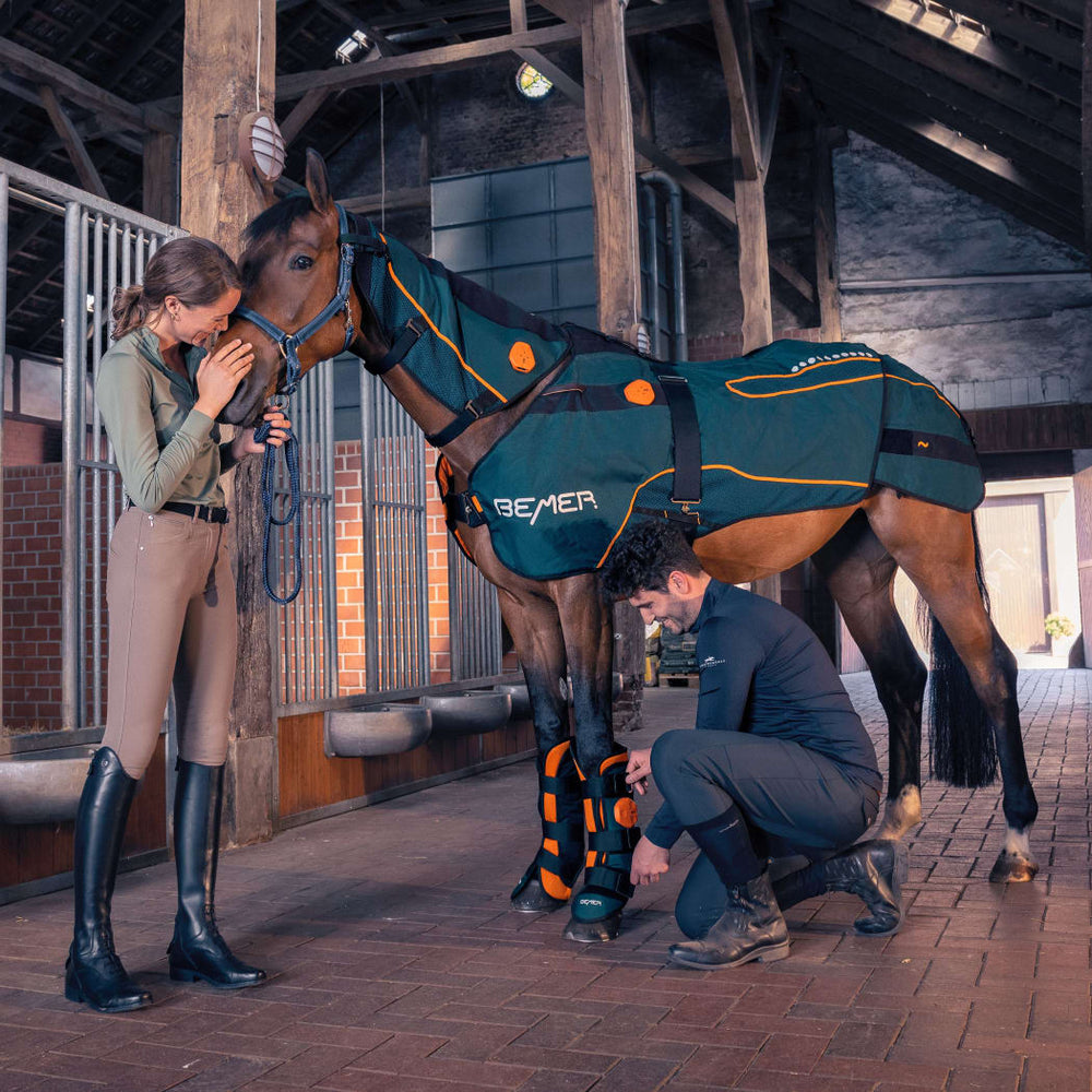 Bemer Horse Set mieten / leihen